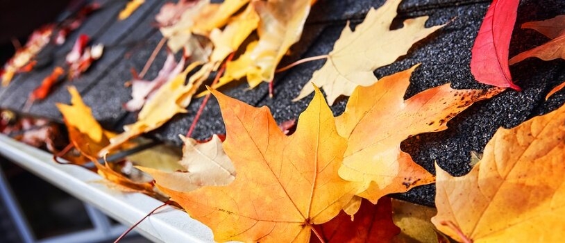 7 Signs You Need A Roof Inspection This Fall | Denver, CO | Craftech ...